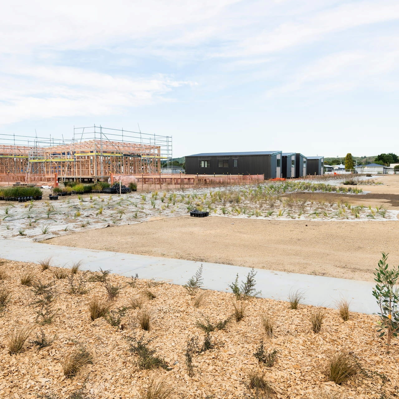 The Yard Crew – Wool Life