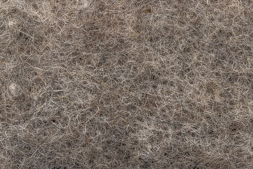 Biodegradable Weed & Mulch Mats from 100% Recycled NZ Wool – Wool Life